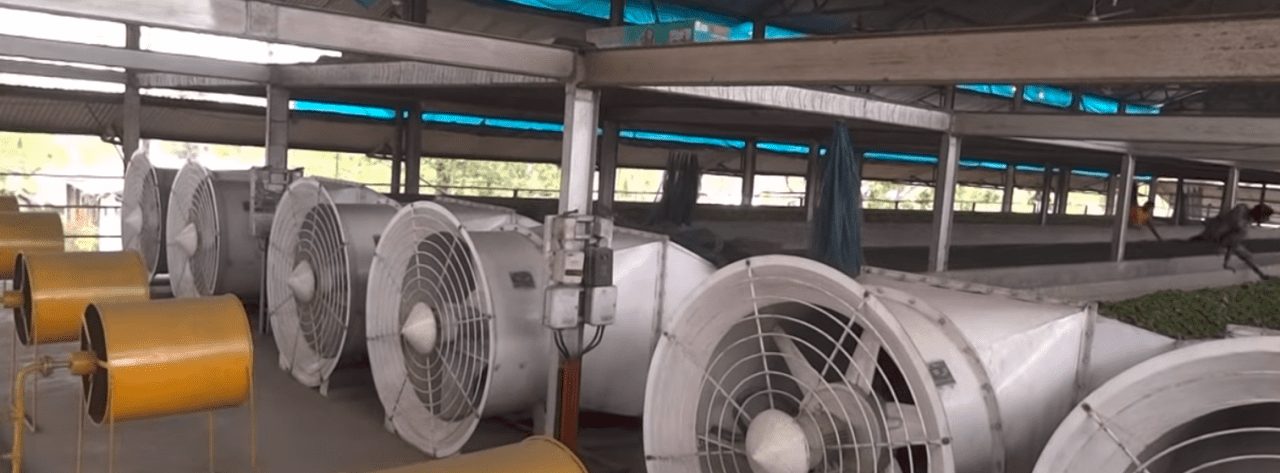 Tea Withering Fan - Maya Fan Air Engineering Pvt Ltd